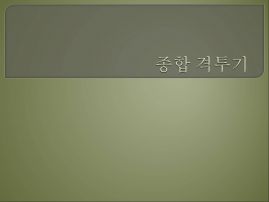 이종(종합)격투기 역사와 소개-1페이지