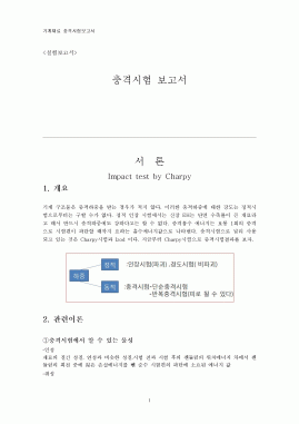 충격시험보고서-1페이지