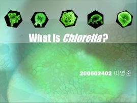 클로렐라(Chlorella)-1페이지