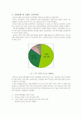 마케팅 커뮤니케이션-하이트맥주-1페이지