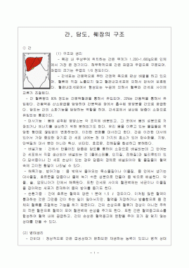 간, 담도, 췌장의 구조-1페이지