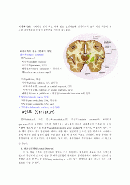 [간호학]기저핵이란-1페이지