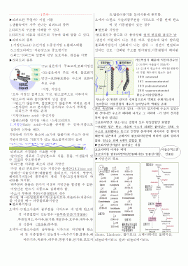 리피도 건강 1~7주차 타이핑입니다.-1페이지