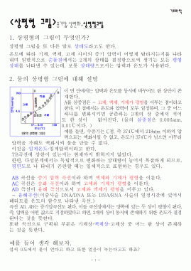 (상평형 그림)-상평형에 대한 이론 -1페이지