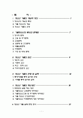 청소년 가출의 원인과 대책-1페이지