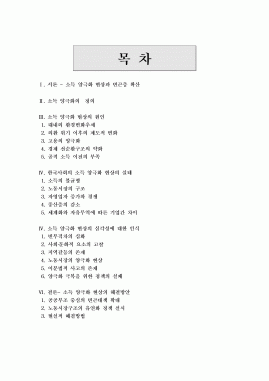 한국사회의 소득양극화 현상의 원인과 해결방안-1페이지