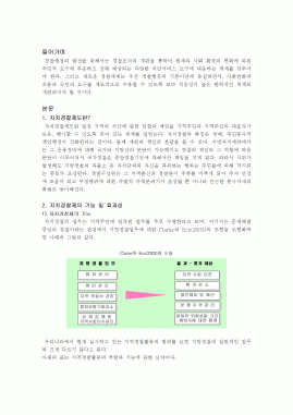 [자치경찰제도] 자치경찰제도 도입에 대한 문제점과 추진방안-1페이지