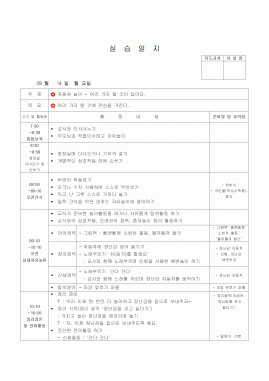 2009년 어린이집 만 1세 보육실습일지 1~4주차-1페이지