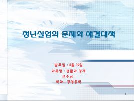 청년실업의 문제와 해결방안-1페이지