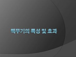 핵무기의 특성 및 효과-1페이지