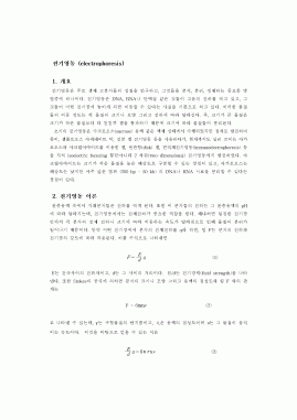 전기영동 (electrophoresis)-1페이지