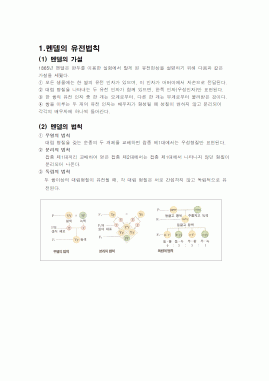 유전(멘델의 유전법칙, DNA의 구조와 기능)-1페이지