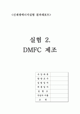 연료전지실험 연료전지DMFC실험-1페이지