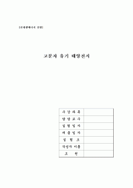 고분자유기태양전지실험-1페이지