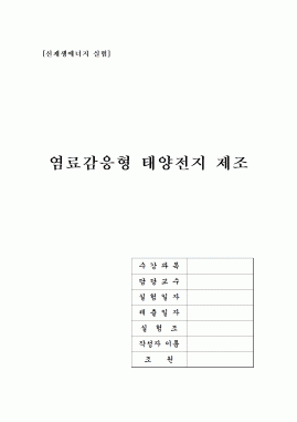 연료감응형태양전지실험-1페이지