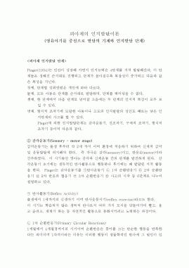 피아제의 인지발달이론(영유아기를 중심으로 발달의 기제와 인지발달 단계)-1페이지