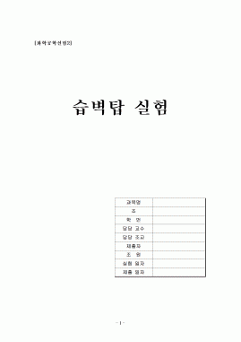 습벽탑실험-1페이지