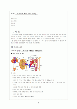 [간호학]요로감염(Urinary tract infection)-1페이지