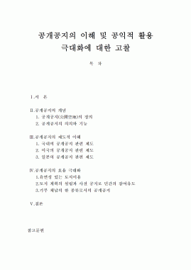 공개공지의 이해 및 공익적 활용 극대화에 대한 고찰-1페이지