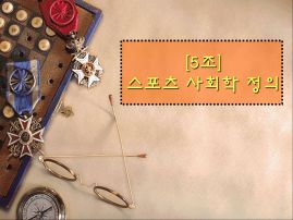 스포츠사회학의 정의-1페이지