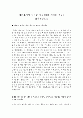 자기소개서 돌발질문 모범답변[자기소개서 신선한 질문 합격예문][자기소개서 허를 찌르는 질문 합격샘플][자기소개서 독특한 모범예문]-1페이지