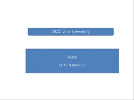 voice networking protocol 정리-1페이지