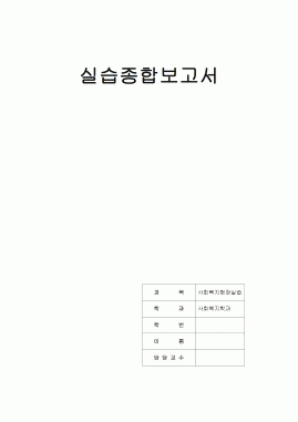 사회복지현장실습종합보고서(장애인 보호시설 A+자료)-1페이지