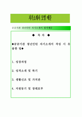 [올해최신자료]공공기관 청년인턴 자기소개서 합격샘플[공공기관청년인턴자기소개서 모범예문][공공기관청년인턴자소서 예문][공공기관청년인턴자기소개서] -1페이지