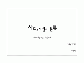 사회복지법의 분류-1페이지