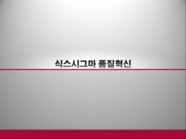 식스시그마 및 성공사례-1페이지