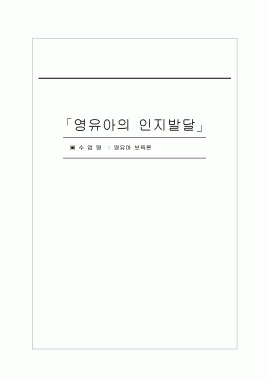 인지발달보고서(영유아보육론)-1페이지