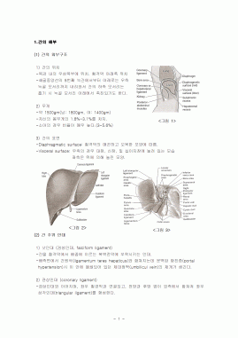 간세포암(HCC, hepatocellular carcinoma)-1페이지