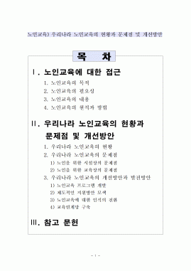 노인교육) 우리나라 노인교육의 현황과 문제점 및 개선방안-1페이지