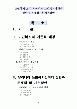 노인복지 A+) 우리나라 노인복지정책의 현황과 문제점 및 개선방안-1페이지