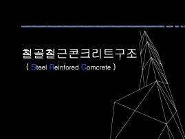 철골철근콘크리트구조_SRC구조-1페이지