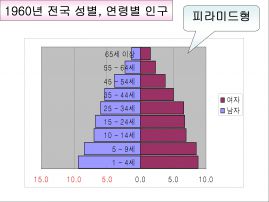 인구 피라미드 유형PPT-1페이지