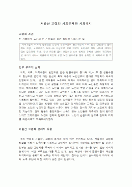 저출산 고령화 사회의 문제와 사회복지에 대한 레포트-1페이지