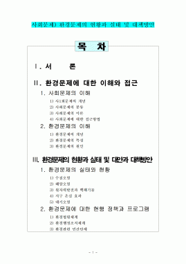 사회문제) 환경문제의 현황과 실태 및 대책방안-1페이지