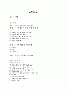 세종시 문제에 관한조사-1페이지