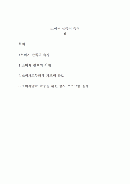 소비자 만족의 측정-1페이지