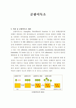 곰팡이독소-1페이지