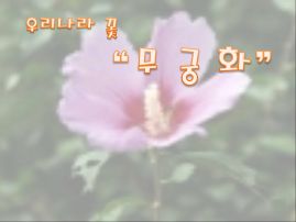 우리나라 꽃 무궁화 -1페이지