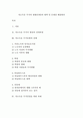 저소득층 주거의 현황(유형)과 대책 및 문제점 해결방안-1페이지