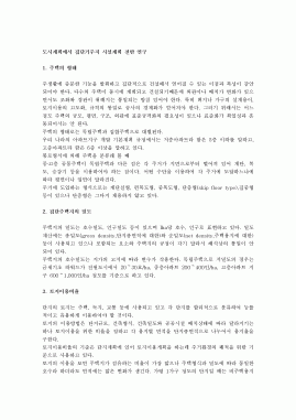 도시계획에서 집단거주지 시설계획 전반 연구-1페이지