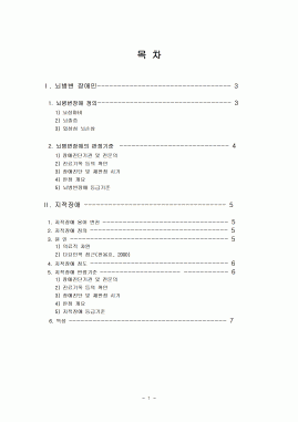 뇌병변장애 지적장애-1페이지