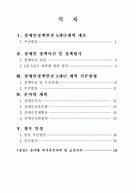 장애인정책발전5개년계획안-1페이지