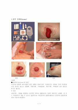 장루와-요루장애-1페이지