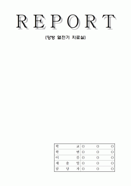 열전기REPORT-1페이지