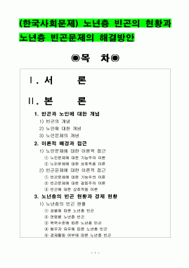 (한국사회문제) 노년층 빈곤의 현황과 노년층 빈곤문제의 해결방안-1페이지