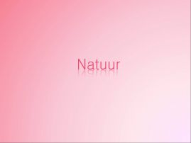 나뚜루 natuur 광고기획서-1페이지